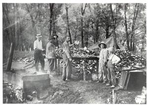 Harvesting the River: Harvesting: : Mussel Fishing -- Illinois State Museum