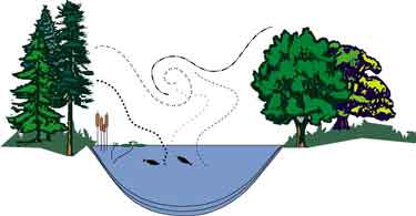 Behind the Scenes:Palynology:Lake