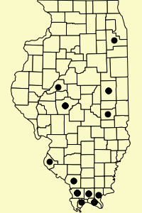 Odonata Database: Nasiaeschna pentacantha -- Illinois State Museum