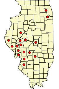 ISM Herbarium Small-flowered Gaura (Gaura parviflora) Records ...